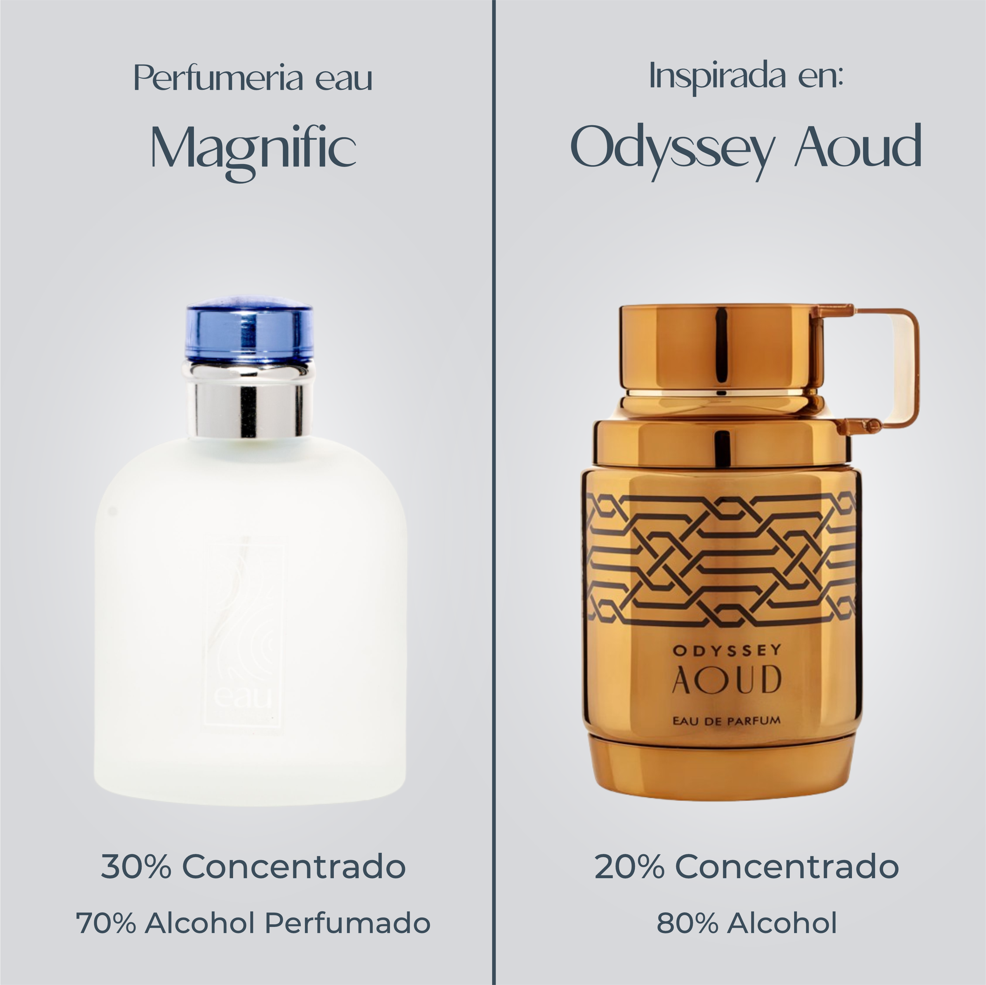 Perfume Magnific Inspirado en ODYSSEY AOUD de ARMAF – PerfumeriaEau